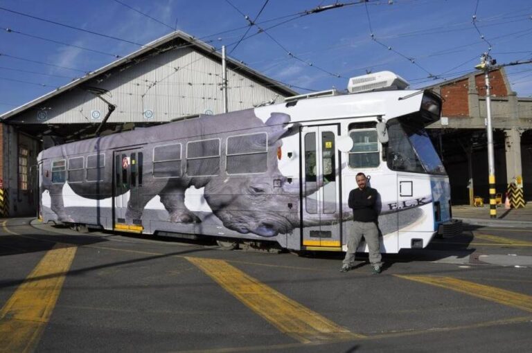 World-Class Australian Artists in Graffiti and Urban Art