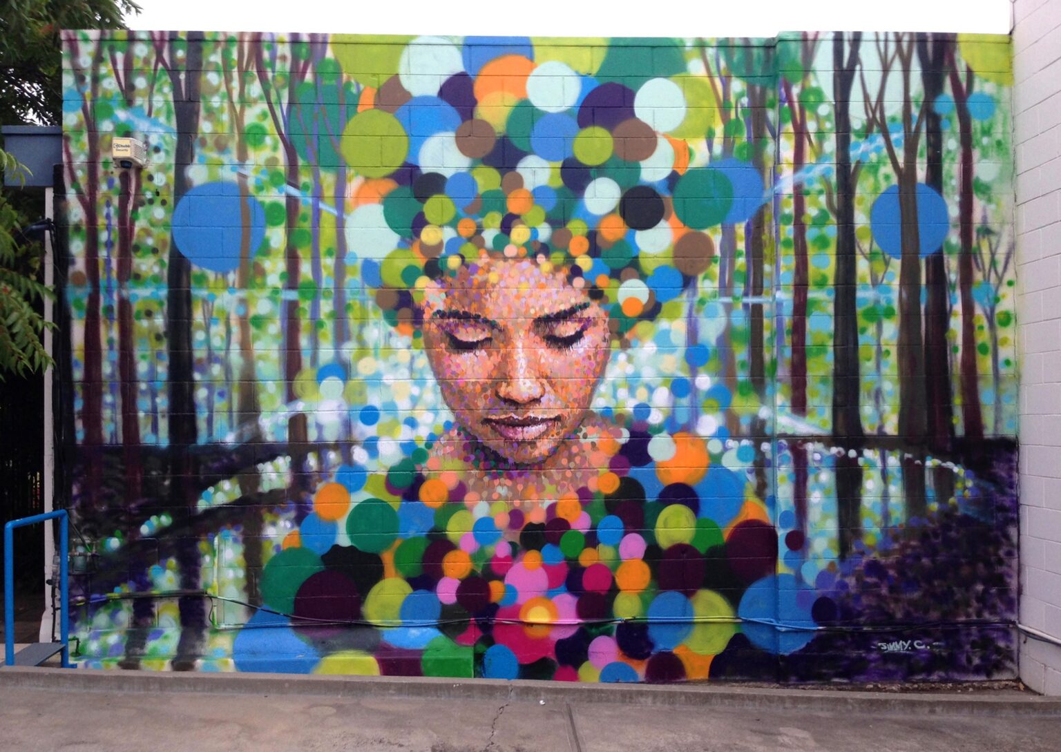 World-Class Australian Artists in Graffiti and Urban Art