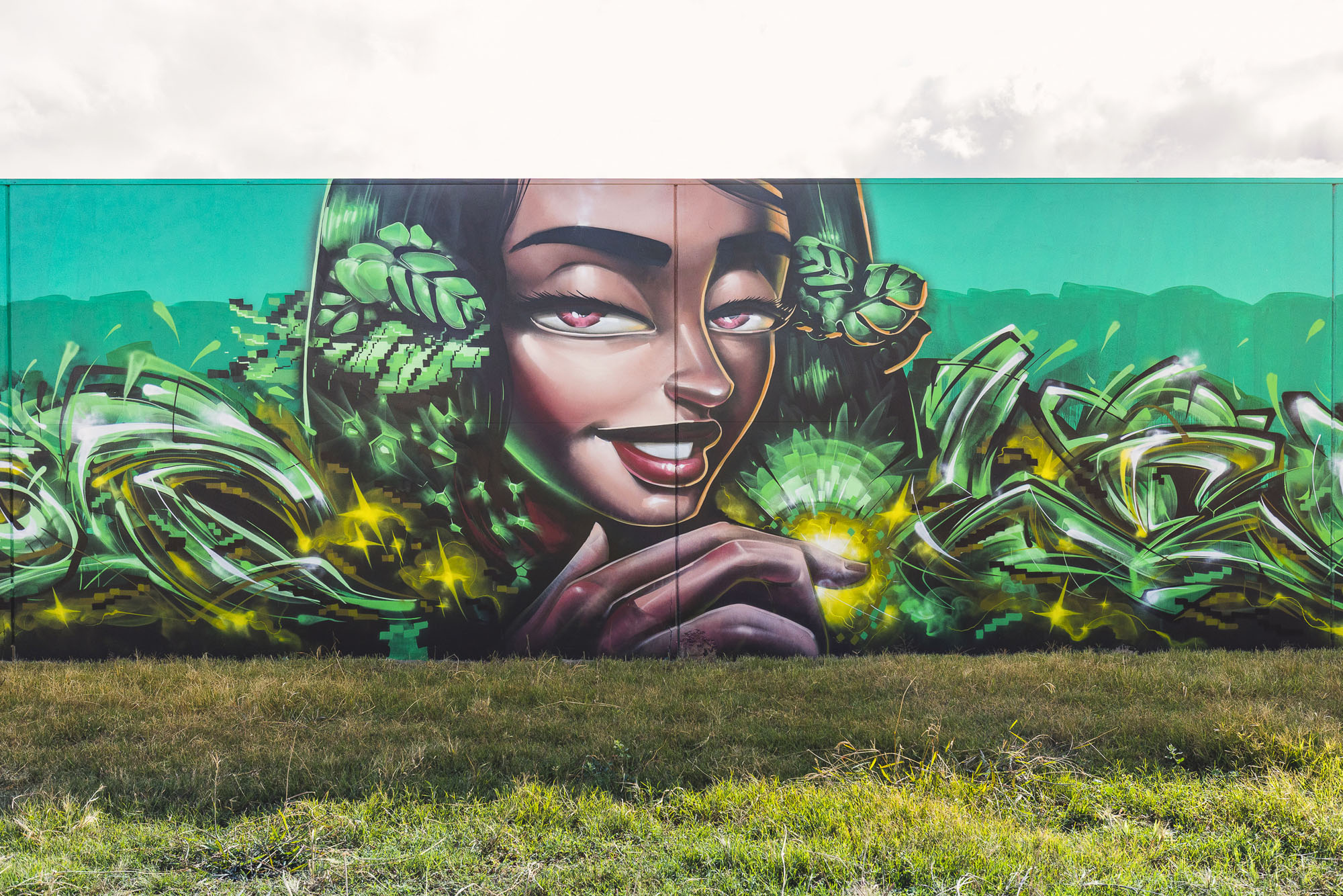 World-Class Australian Artists in Graffiti and Urban Art
